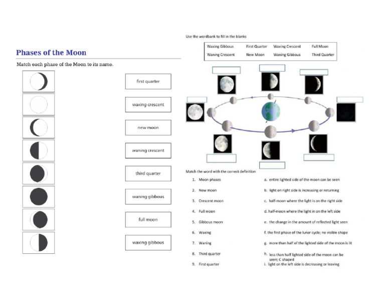 Moon Phases Revision Grade5 | PDF