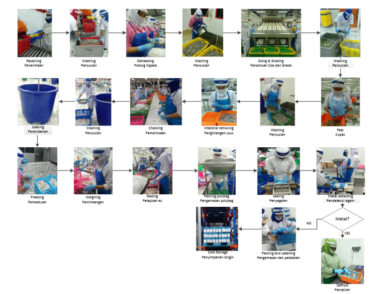 Alur Proses RAW | PDF