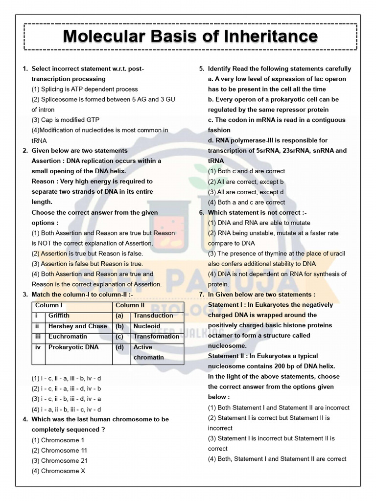 Molecular Basis of Inheritance-DPP | PDF | Dna | Ribosome