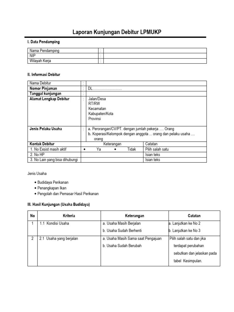 Laporan Kunjungan Debitur LPMUKP | PDF
