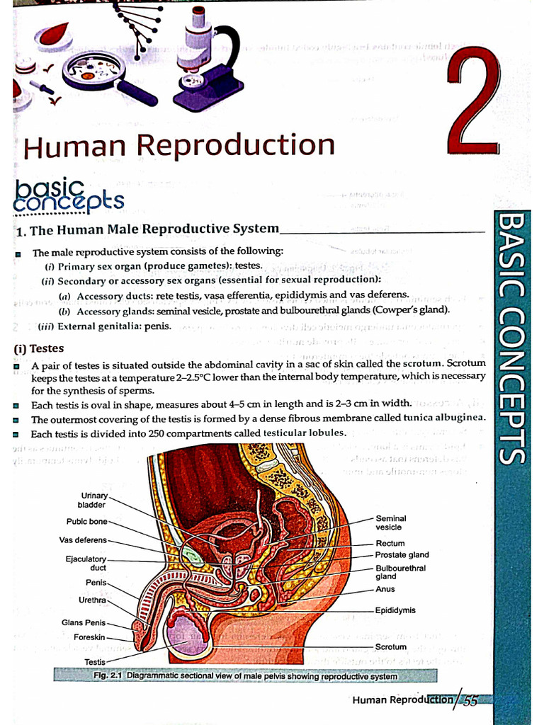 Ch2 Bio | PDF