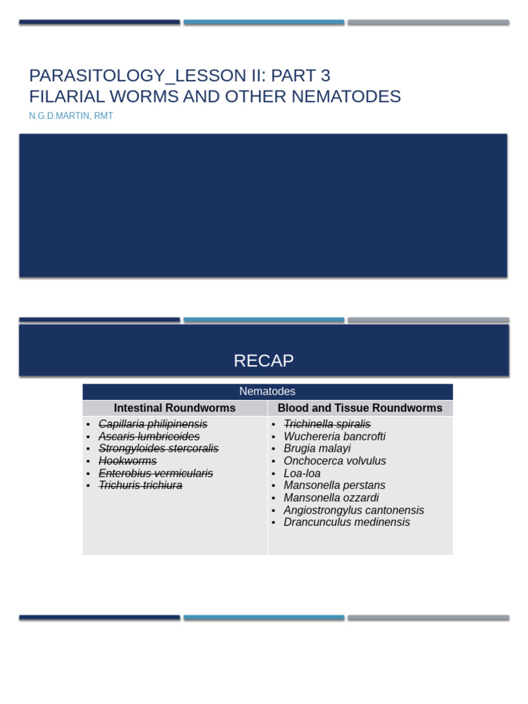 2.3-Nematodes_Filarial-Worms (1) | PDF | Parasitology | Diseases And ...