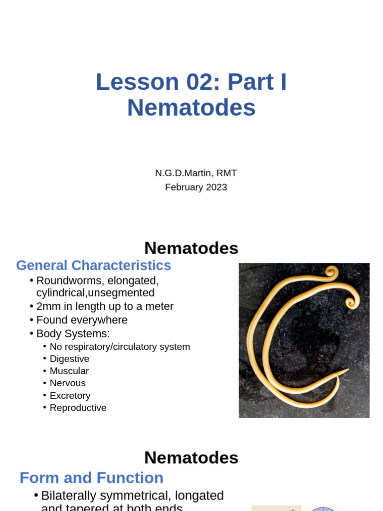 Nematodes: Characteristics and Classification | PDF | Nematode ...
