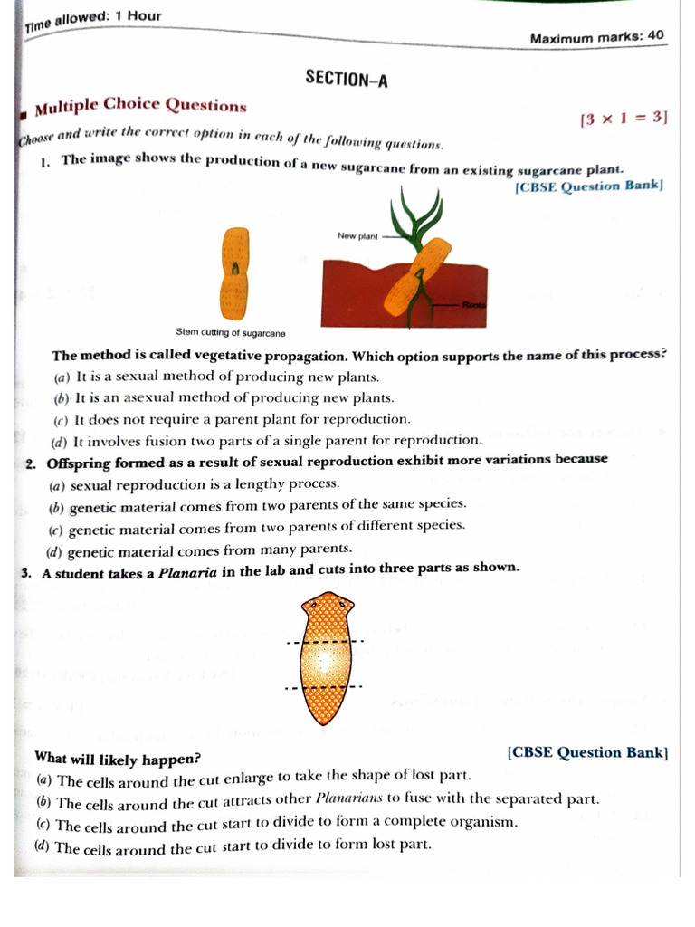Practice Sheet Reproduction | PDF