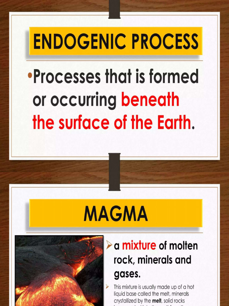 Endogenic Processes | PDF