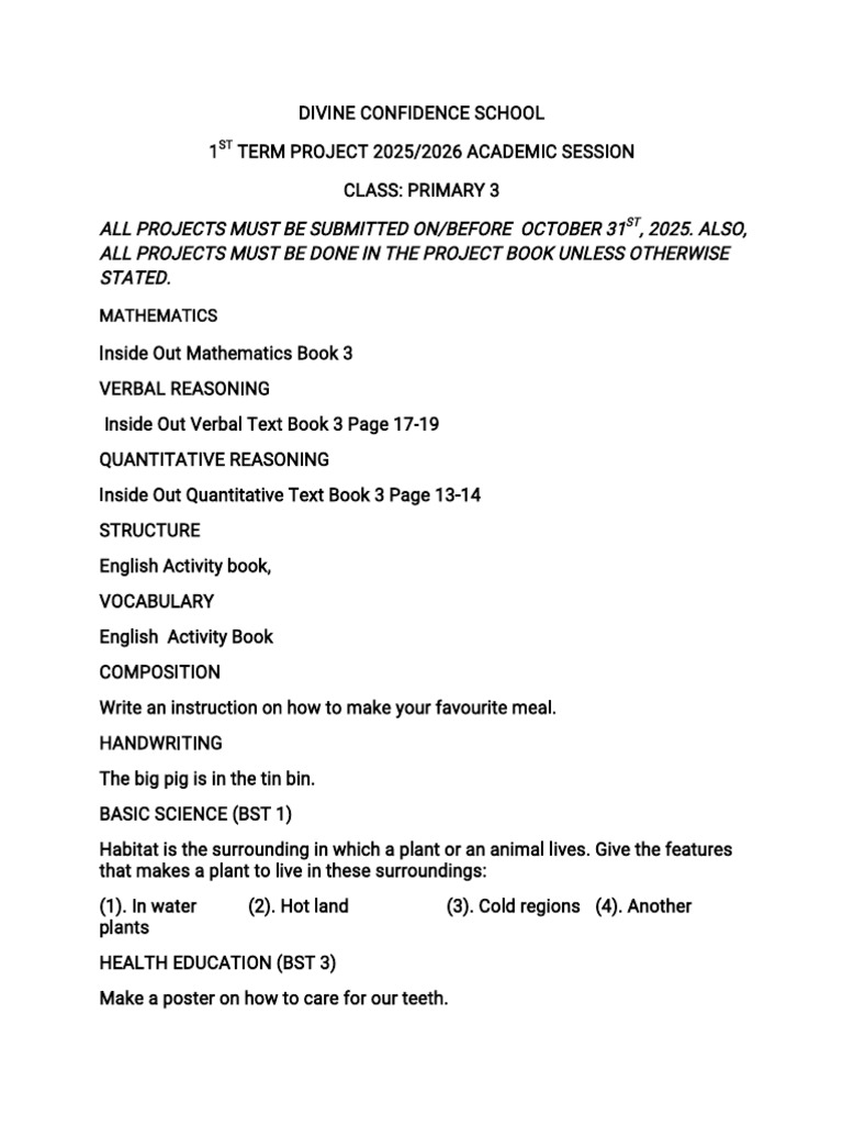 1st Term 2025 Primary 3 Projects | PDF