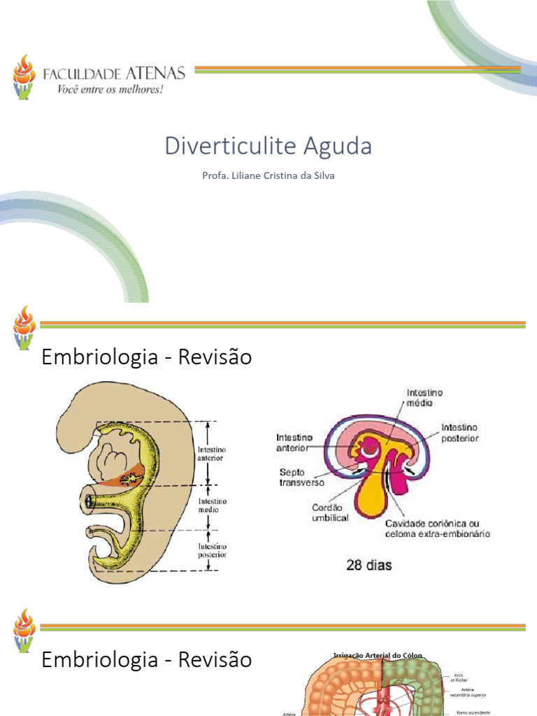 Diverticulite Aguda: Causas e Tratamento | PDF | Doenças digestivas ...