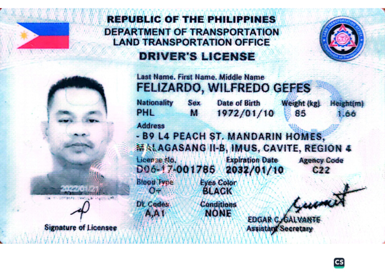 Drivers License | PDF