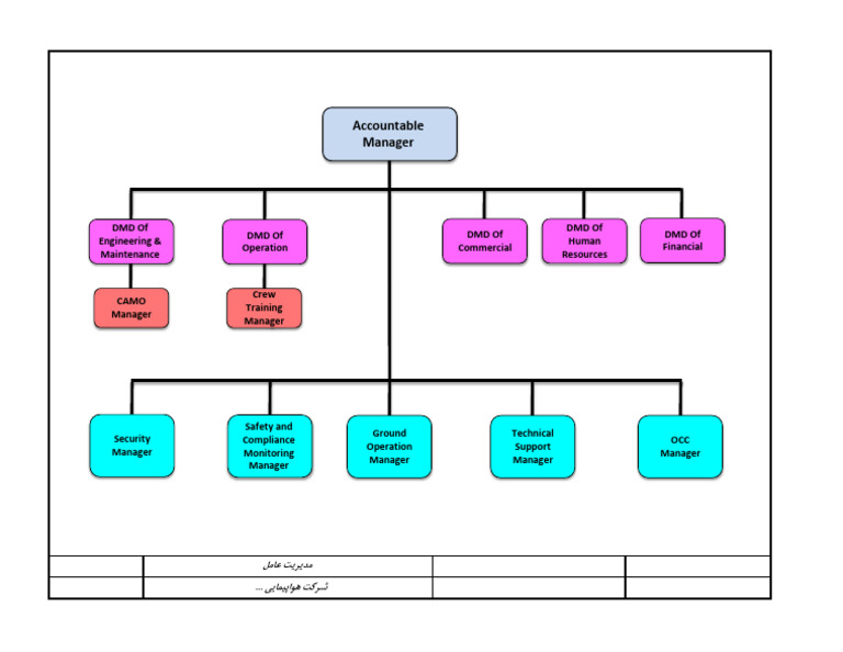 Airline Management Structure Overview | PDF
