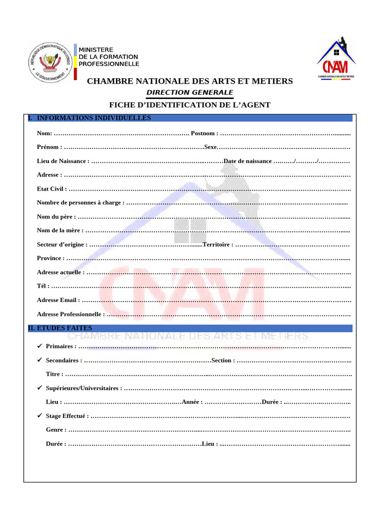 Fiche d'Identification Individuelle de l'Agent Cnam | PDF