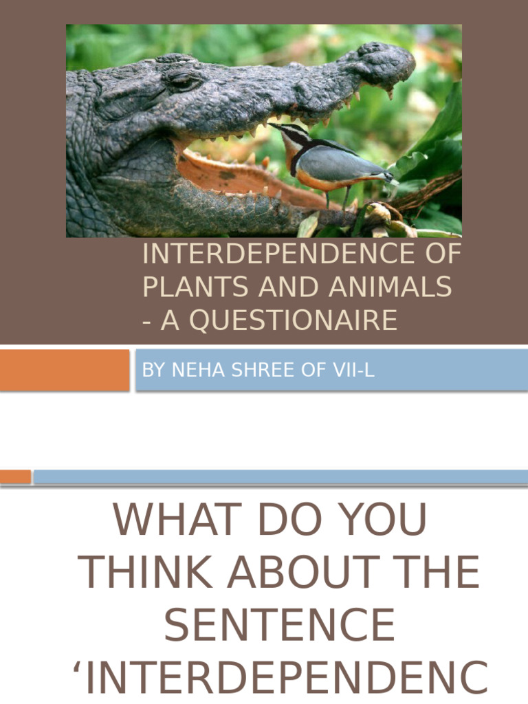 Interdependence of Plants and Animals | PDF
