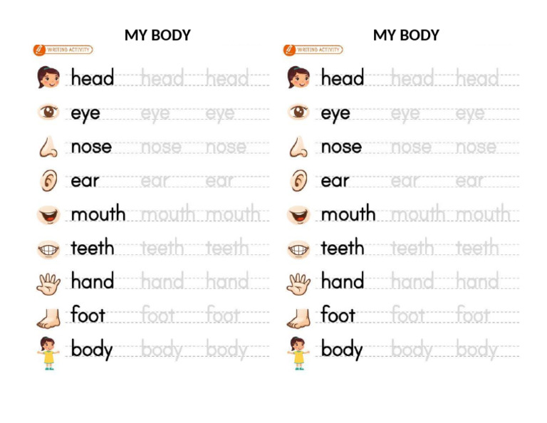 My Body Trace | PDF