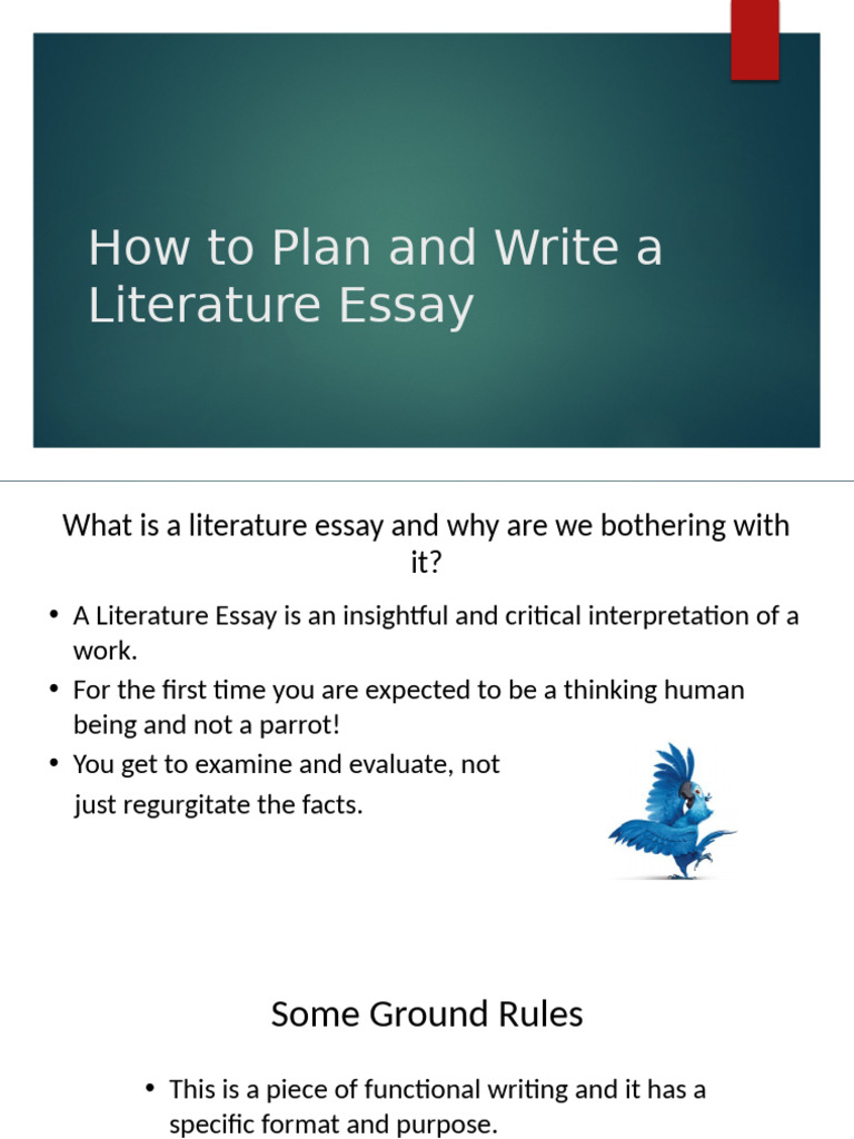 Guide to Writing a Literature Essay | PDF | Essays | Narration