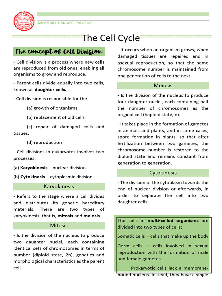 4 Cell Division and Growth | PDF | Meiosis | Mitosis