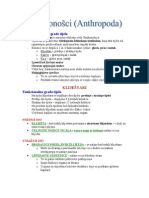 Svitkovci, Ptice, Ribe, Vodozemci, Gmazovi I Sisavci | PDF