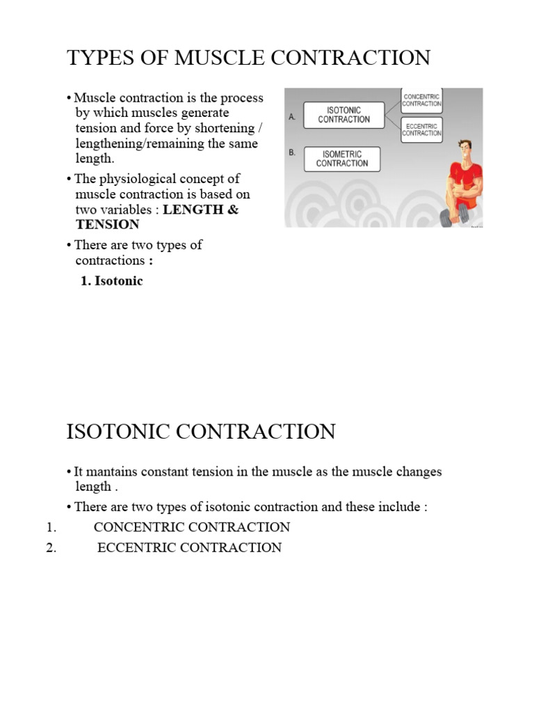 Form 3 & 4 Muscle Contraction | PDF | Muscle Contraction | Skeletal Muscle