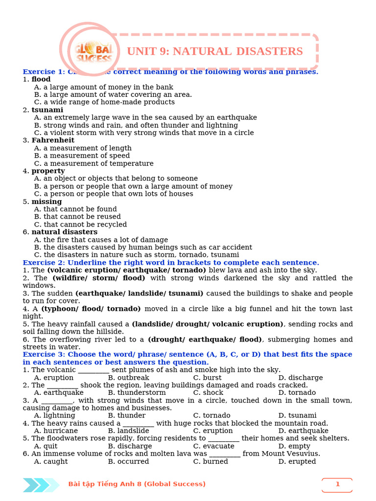 Vocabulary Exercises on Natural Disasters | PDF | Tsunami | Natural ...