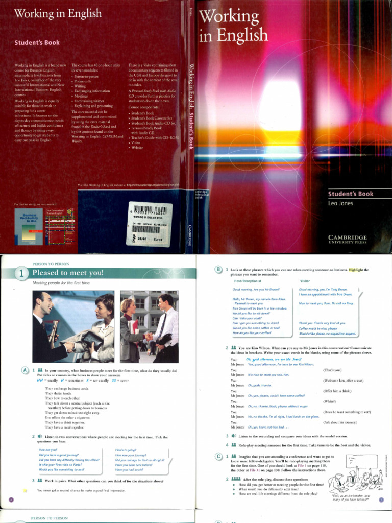 Working in English | PDF