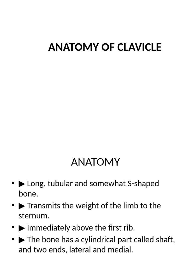 Anatomy of Clavicle Full | PDF