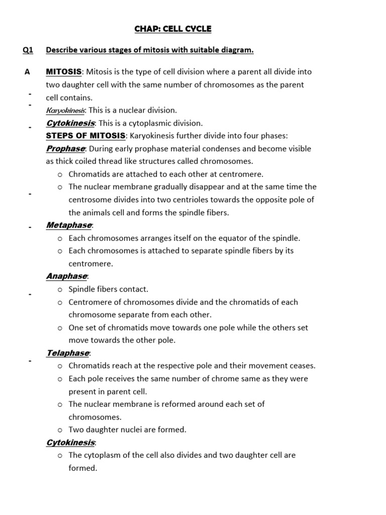 CHAP Cells Cycle Class Ix | PDF | Mitosis | Chromosome