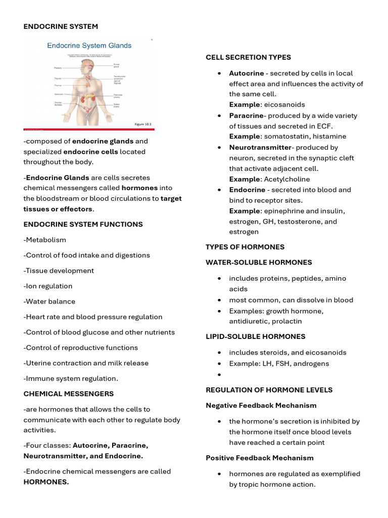 Endocrine System and Blood Handouts | PDF | Blood Type | Endocrine System