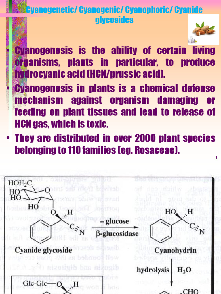 Understanding Cyanogenic Glycosides in Plants | PDF | Cyanide ...