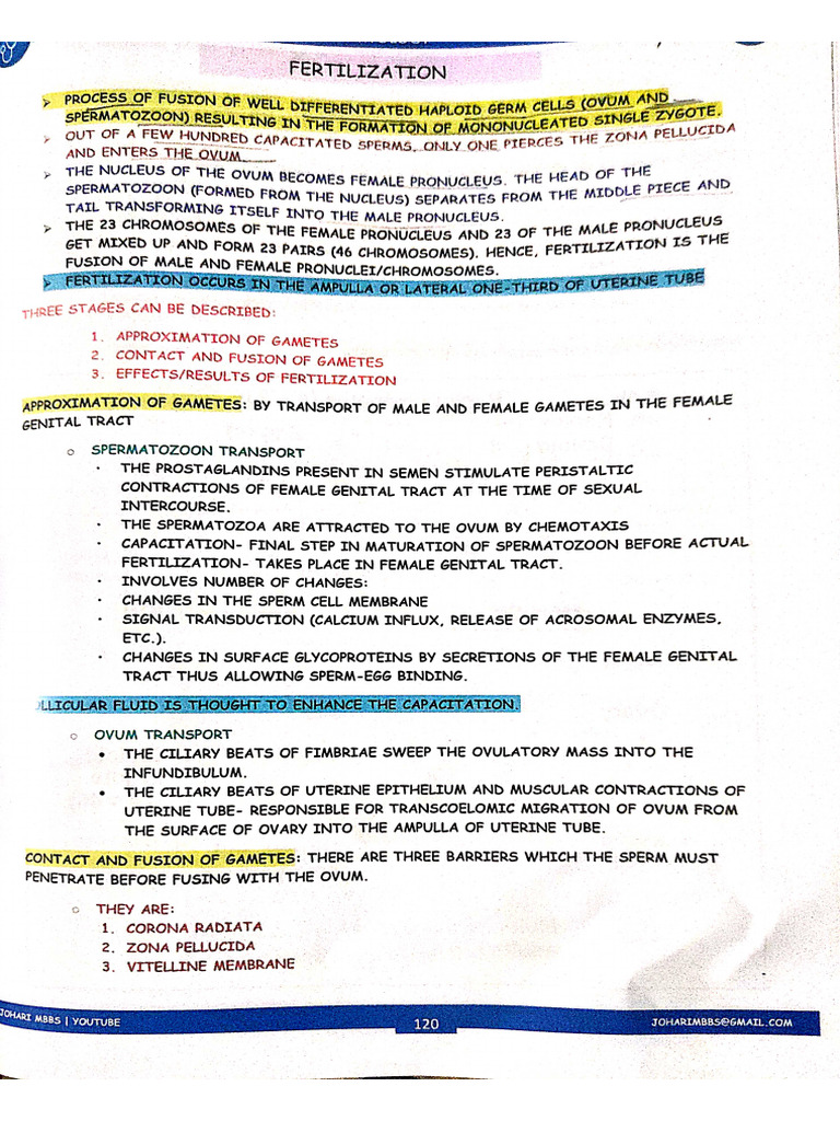 Embryology Notes | PDF