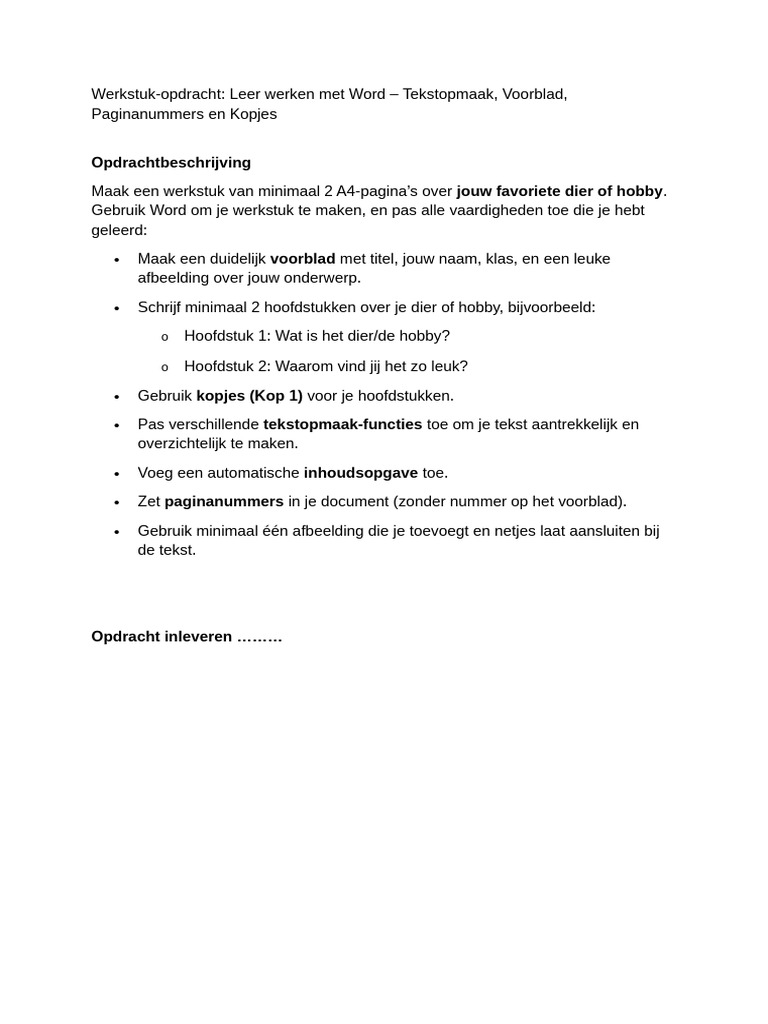 Les 12 - Instructies Werkstuk Word | PDF