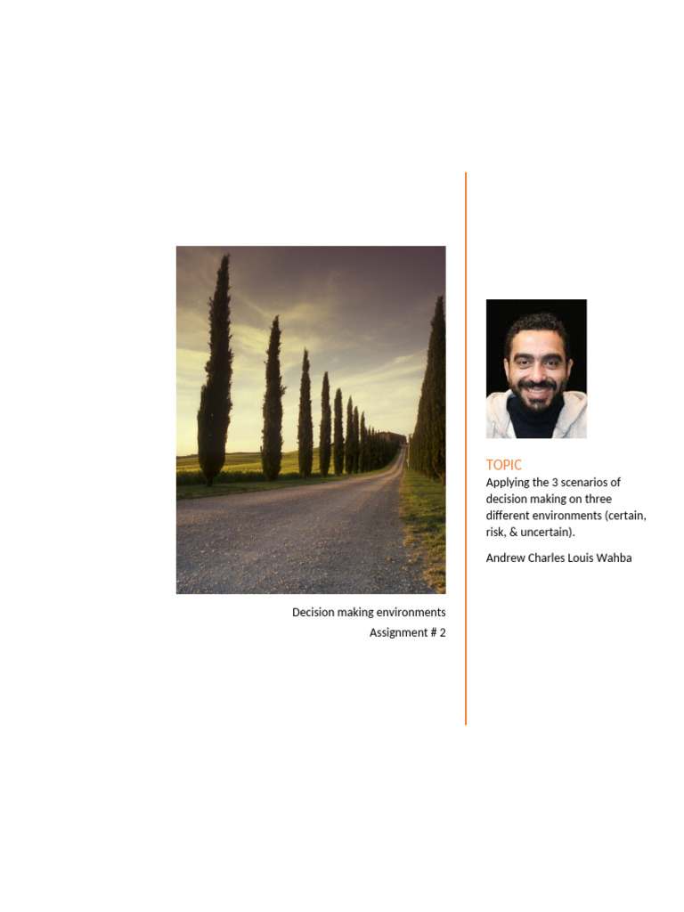 Assignment # 2 | PDF | Decision Making | Risk