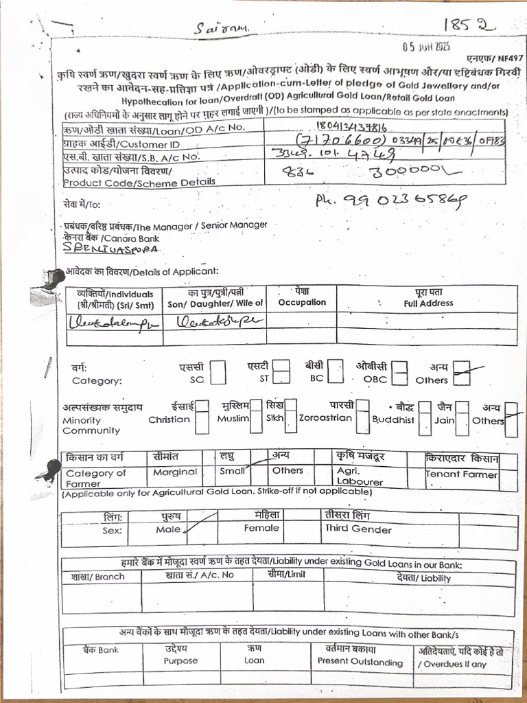 Gold Pledge Bill | PDF
