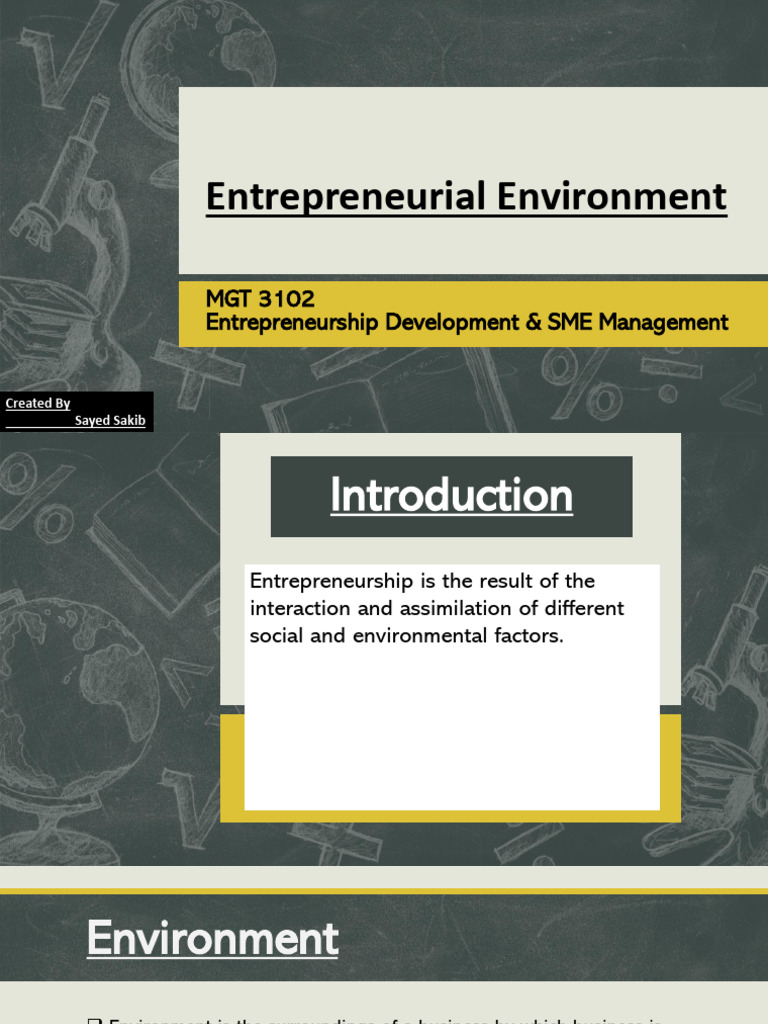 Understanding Entrepreneurial Environments | PDF | Entrepreneurship ...