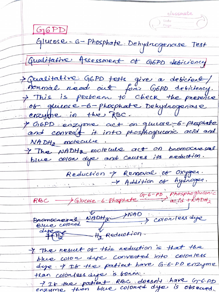 G6PD Deficiency Testing Overview | PDF