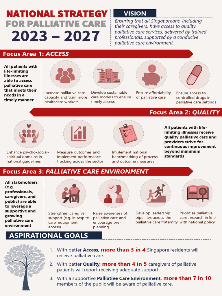 2023 National Strategy For Palliative Care Infographic | PDF ...