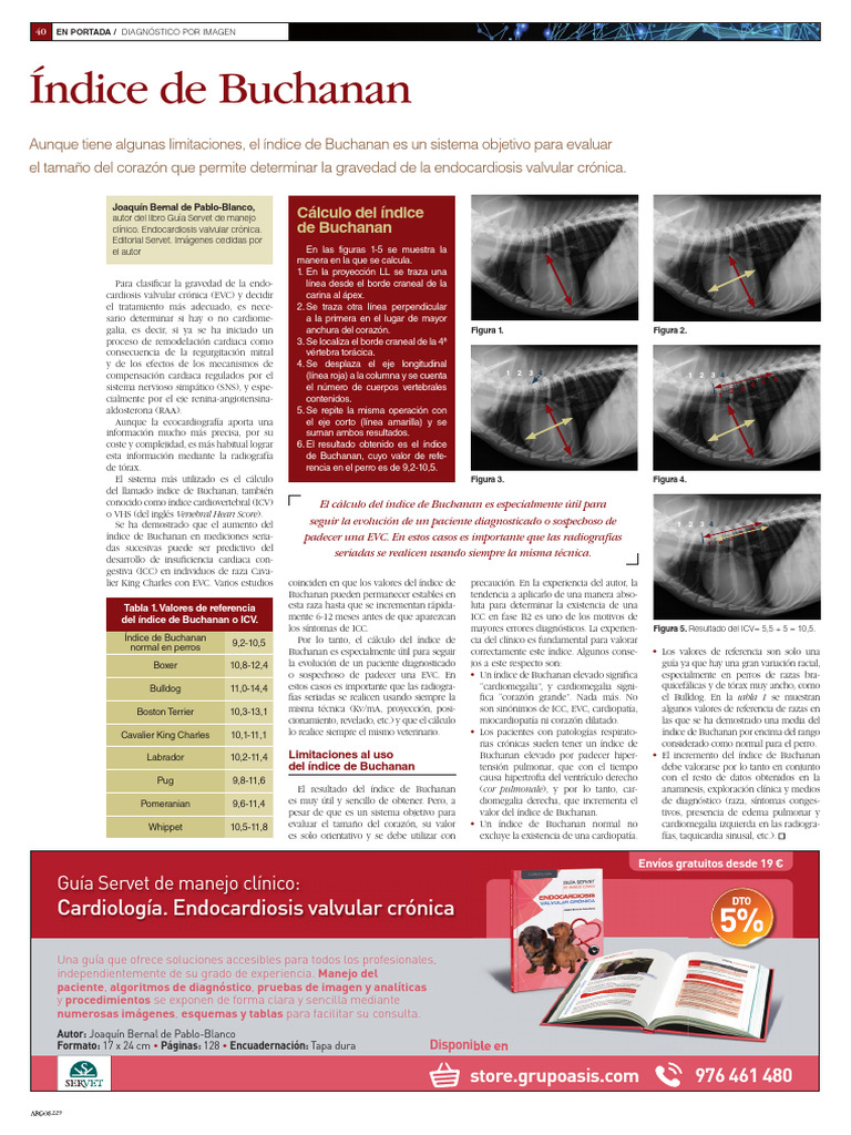 Índice de Buchanan en perros y EVC | PDF | Sistema cardiovascular ...