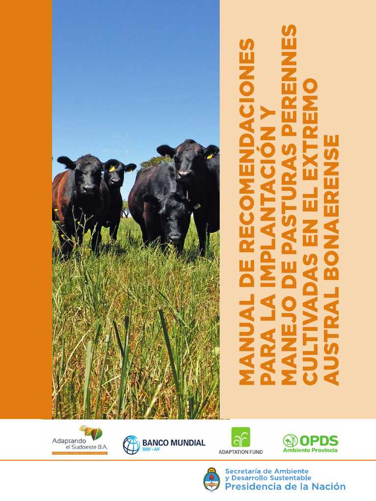 Manejo de Pasturas Perennes en Buenos Aires | PDF | Pasto | Siembra