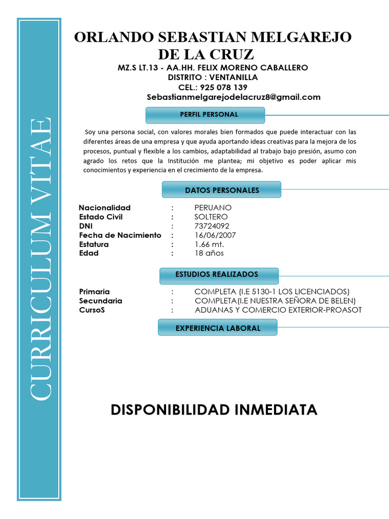 CV Orlando Sebastian Melgarejo de La Cruz | PDF