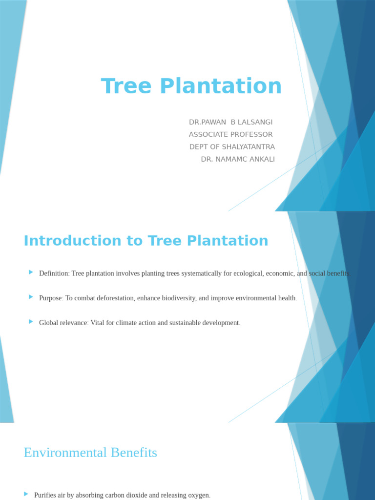 Benefits and Guide to Tree Plantation | PDF