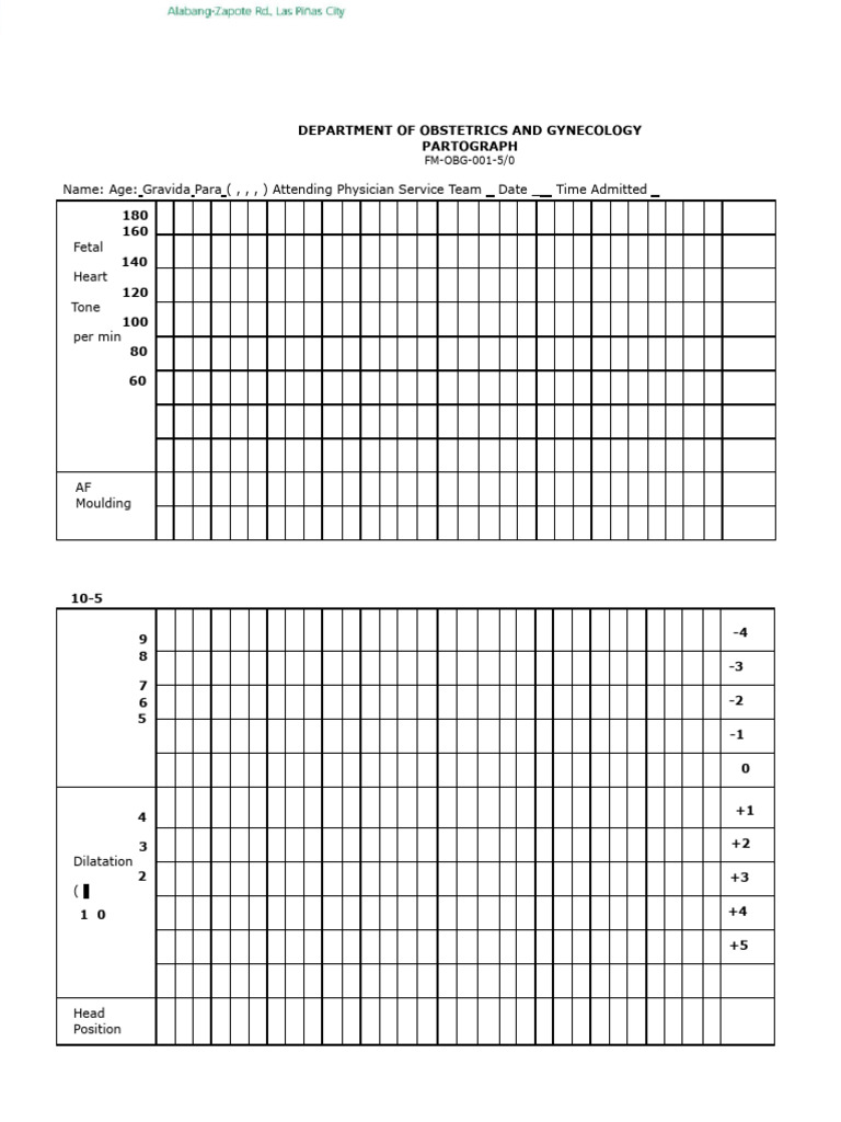 7 Partograph | PDF