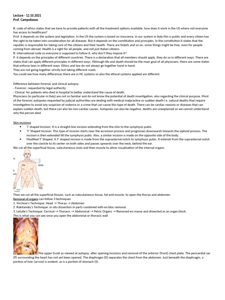 Autopsy Techniques and Incisions Explained | PDF | Coronary Circulation ...