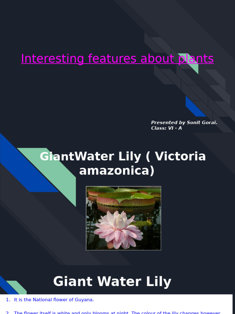 Fascinating Plant Features Explained | PDF | Plants | Botany