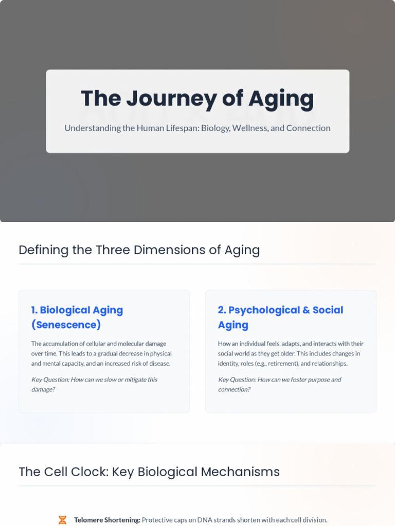 The Journey of Aging | PDF