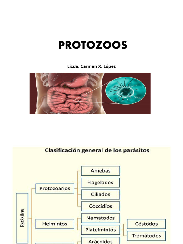 Presentacion 4, Parasitologia | PDF | Biología