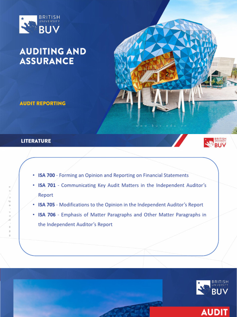 2025 Aa Audit Reporting | PDF | Auditor's Report | Audit