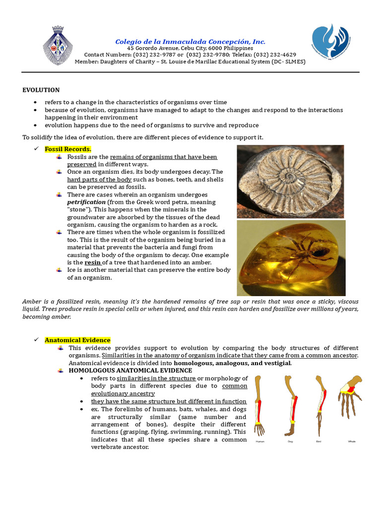 Evolution | PDF | Homology (Biology) | Anatomy