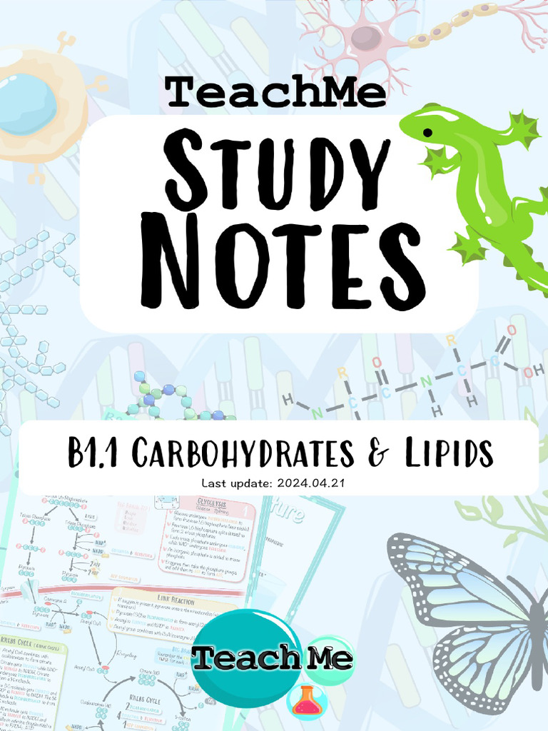 B1.1 Carbohydrates & Lipids | PDF | Carbohydrates | Glucose