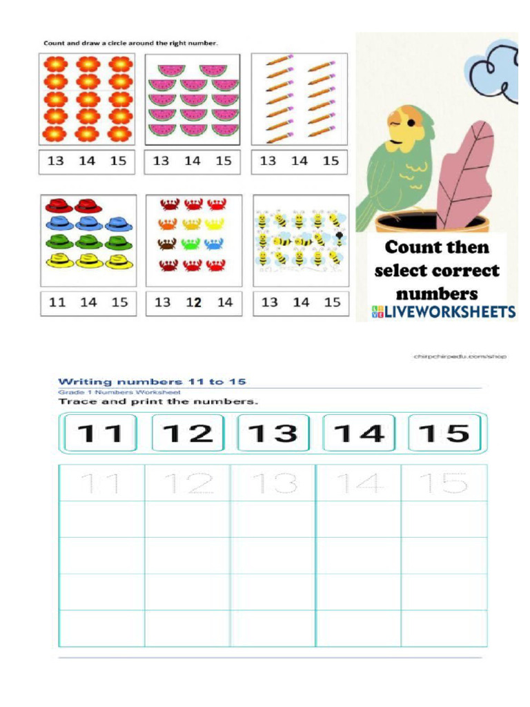 Home Fun Activities 2 | PDF