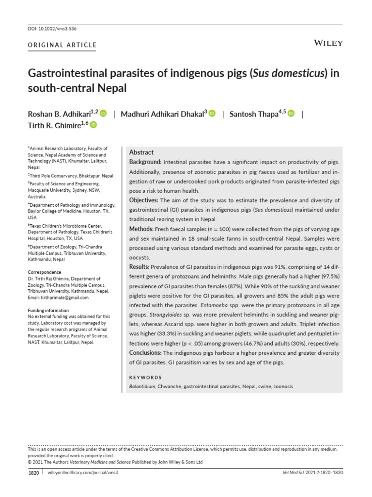 Gastrointestinal Parasites of Indigenous Pigs Sus | PDF | Pig | Parasitism