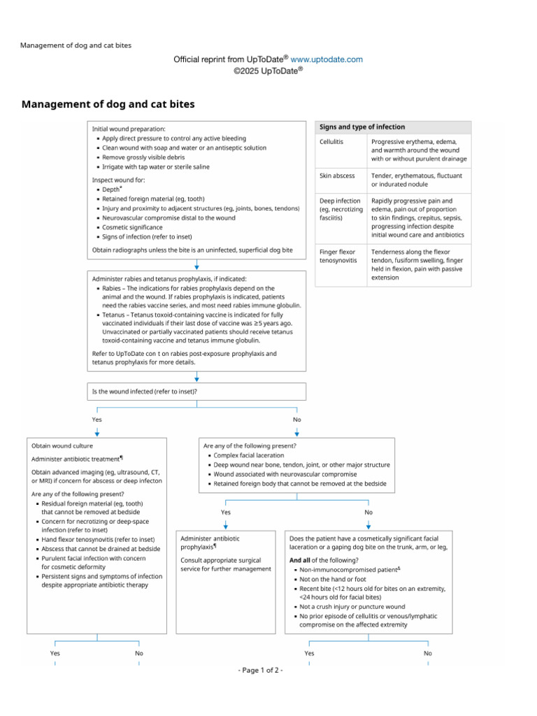 Management of Dog and Cat Bites | PDF