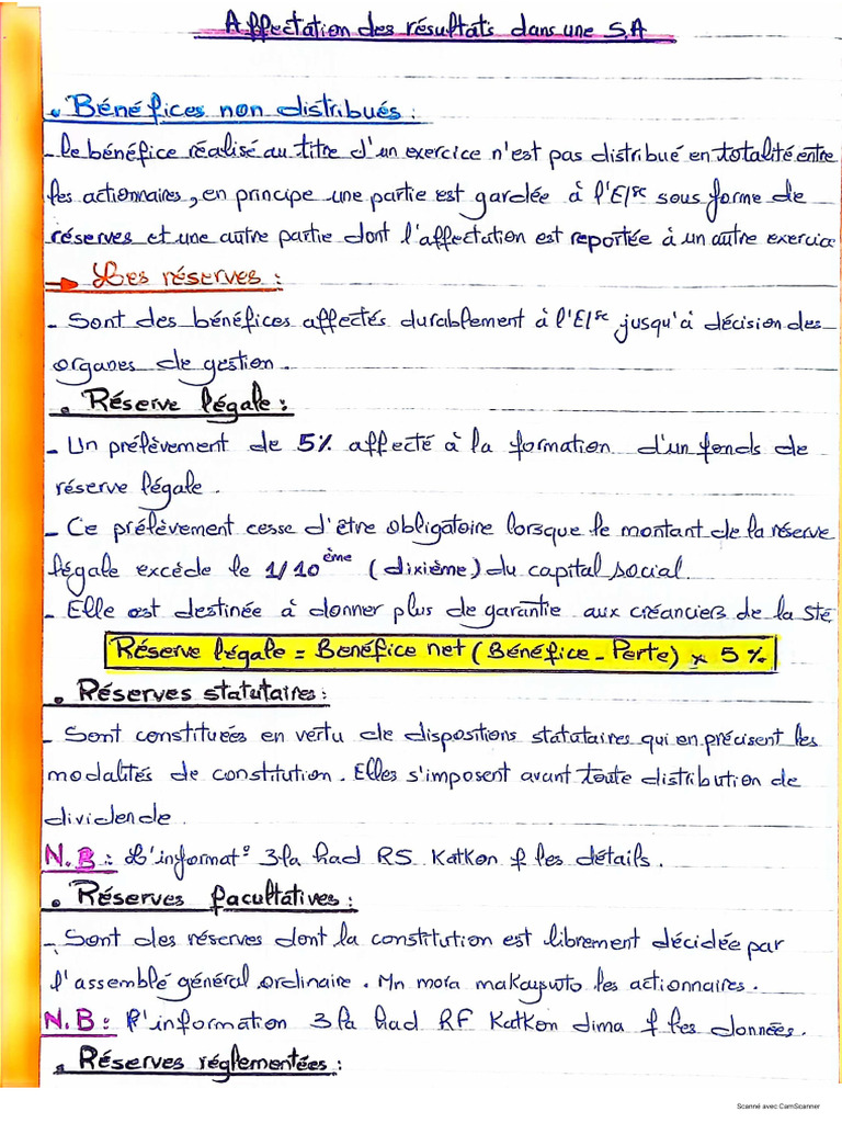 Chapitre 2 Affectation Des Résultats | PDF