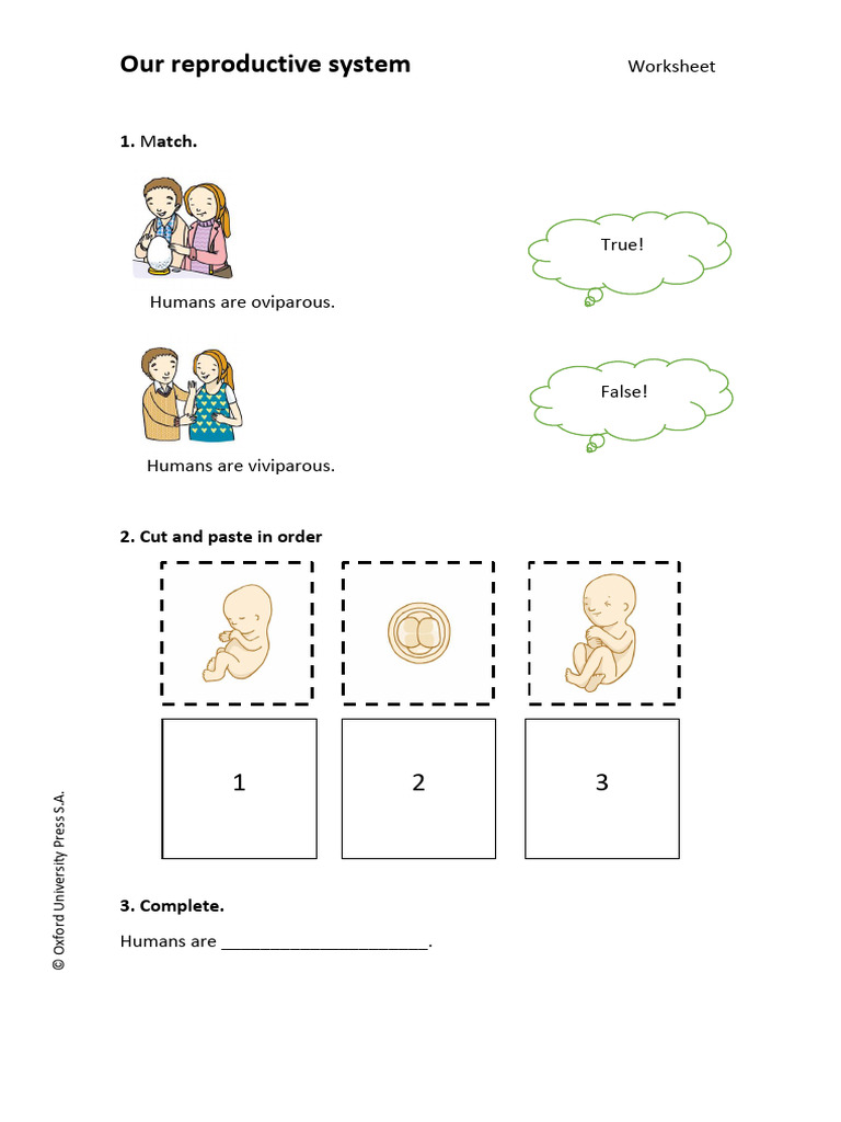NS1 M1 Appendix Worksheet 3 | PDF